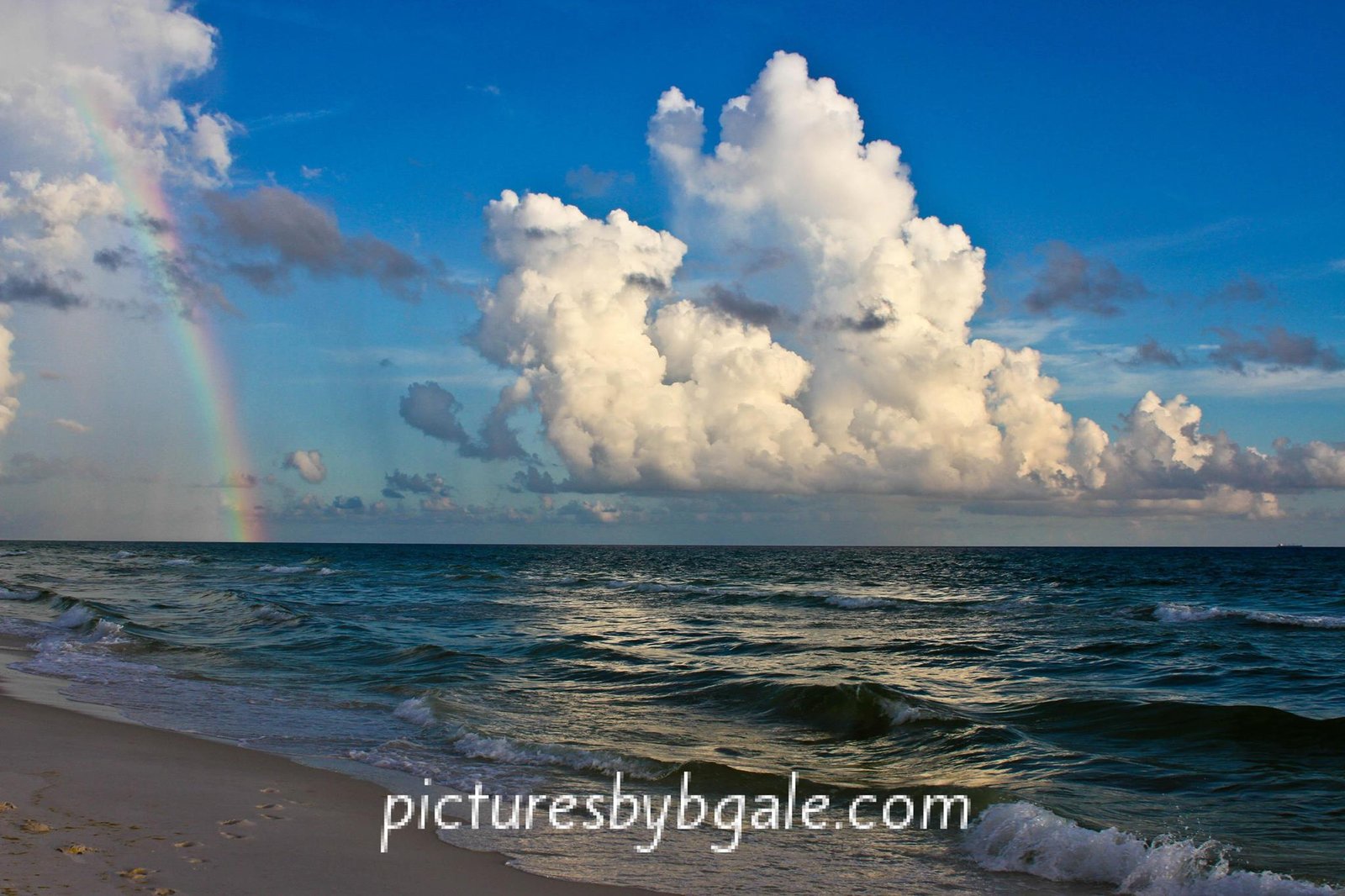 “Marker/ Clicker Training”- 5 step guide – SagePaw